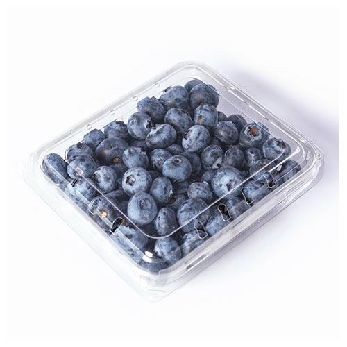 BLUE BERRY DOMO 180 GRS – Central Foods